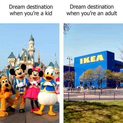 6 Customer Service Examples To Maximize Customer Loyalty | ToolsGroup